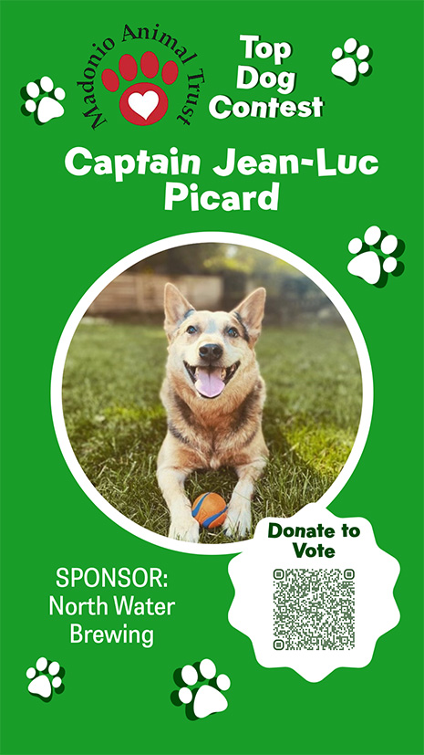 The Buddy Sessions Top Dog Contest