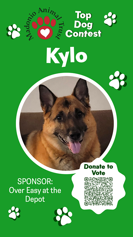 The Buddy Sessions Top Dog Contest